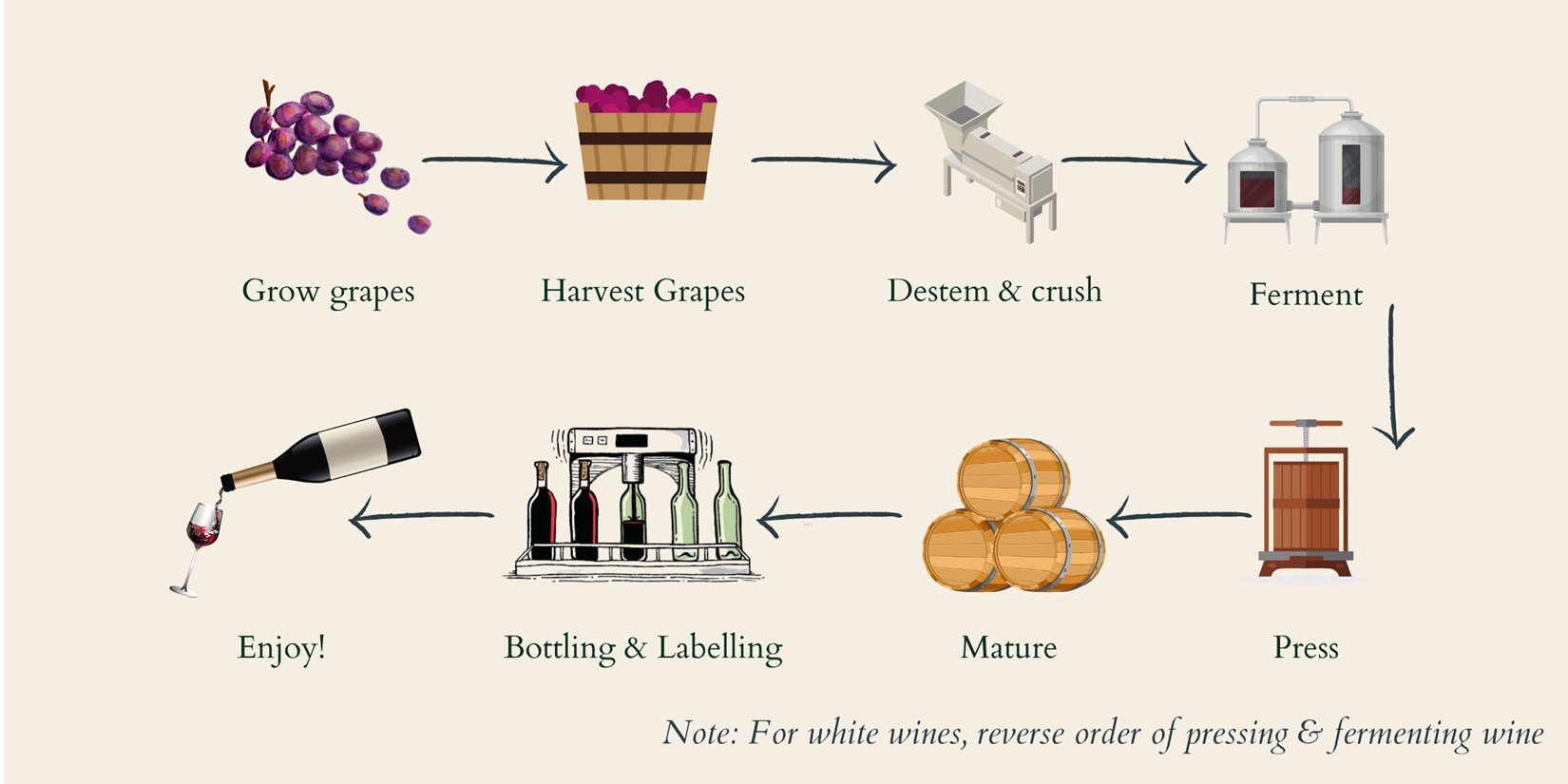 Viticulture/Winemaking | Bacco On Line